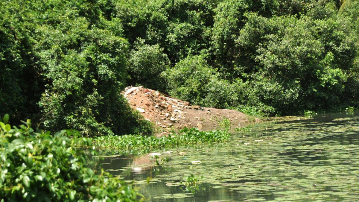 Wetland reclamation goeson despite stop memo - The Hindu