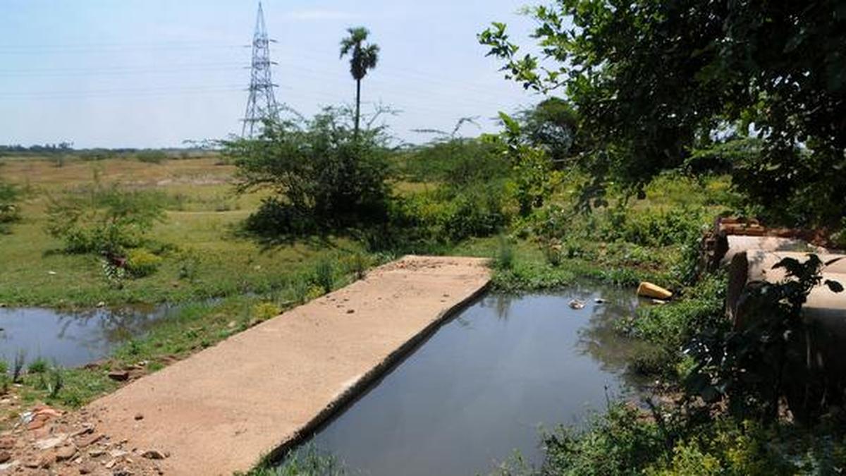 Puzhal lake contaminated - The Hindu