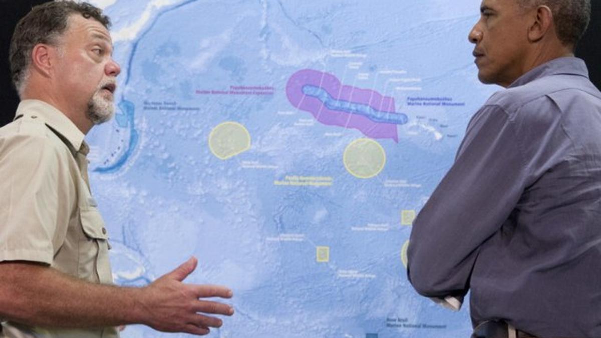 Newly discovered fish named after Obama - The Hindu