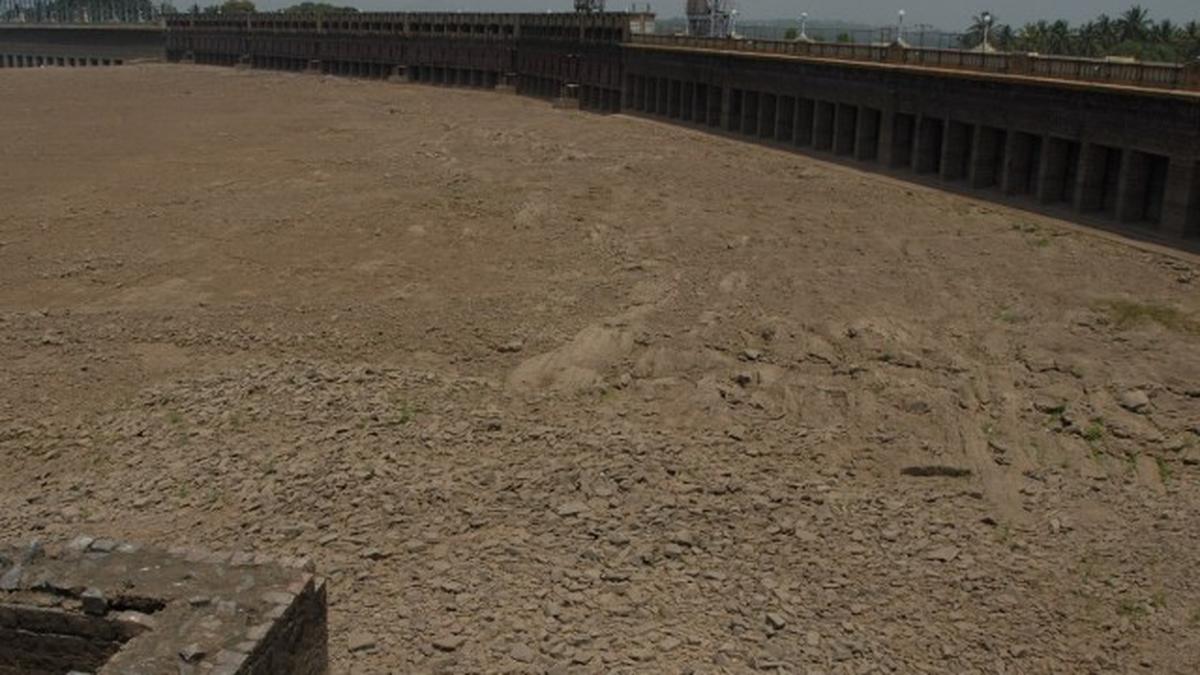 Protests erupt in Mandya over Supreme Court’s direction - The Hindu