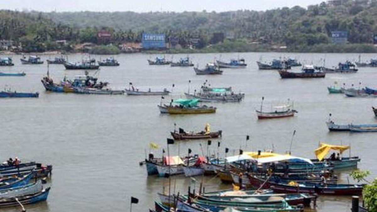 Biological pollution matter of concern for Goa: Scientist - The Hindu