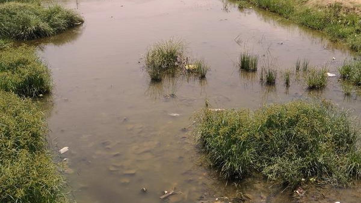 Residents of Mudichur plan fast to draw attention to Adyar river - The ...