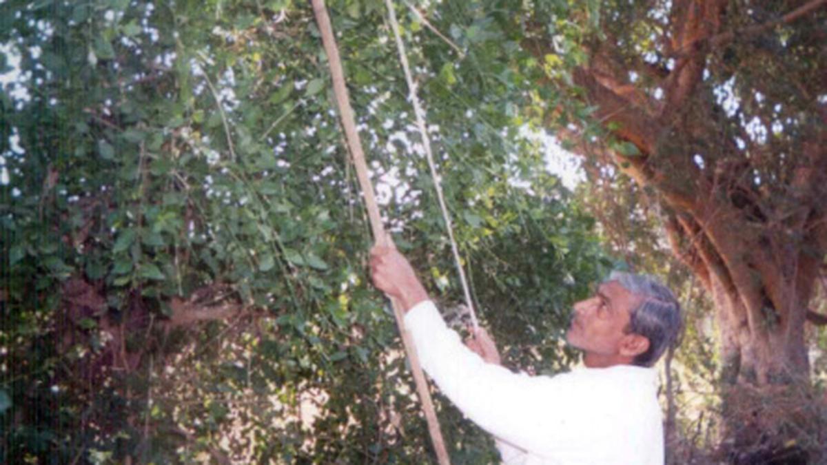 Three new types of innovative sickles promise better delivery - The Hindu