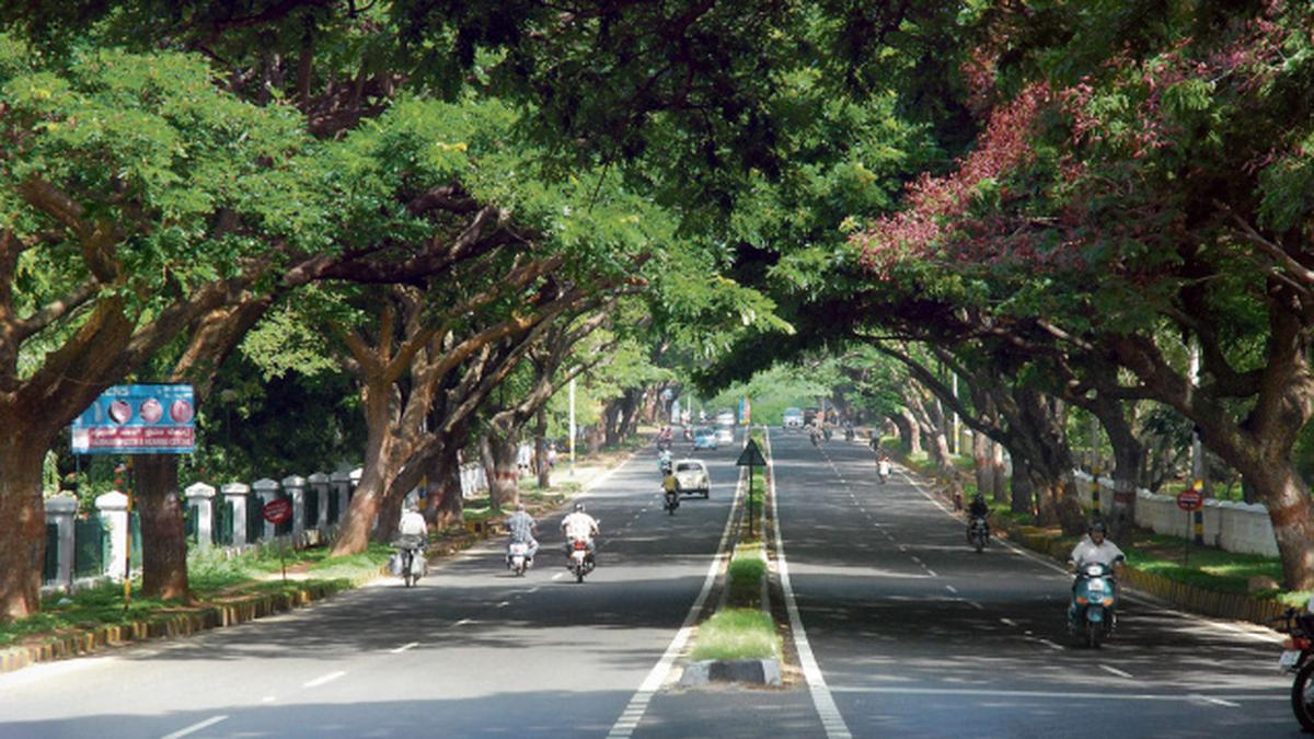 All for a greener Mysore - The Hindu