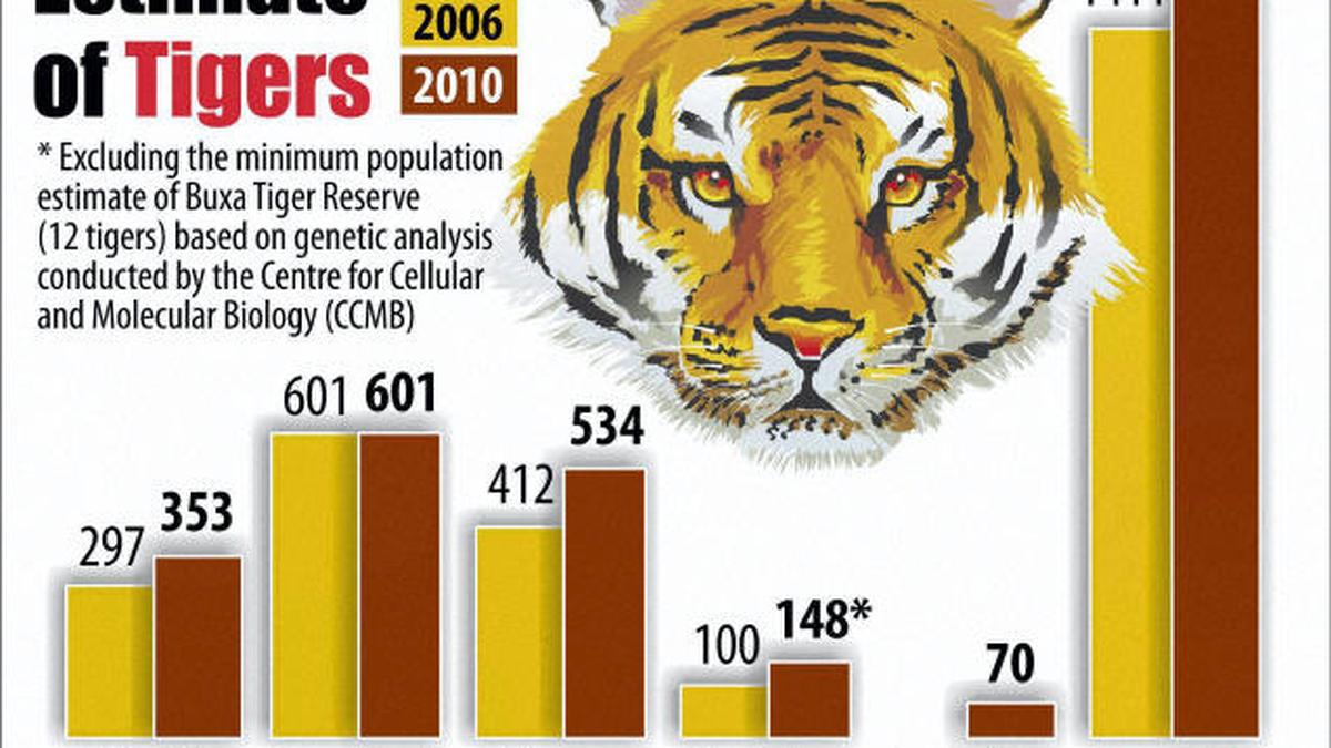 Tiger population rises on the back of conservation efforts - The Hindu