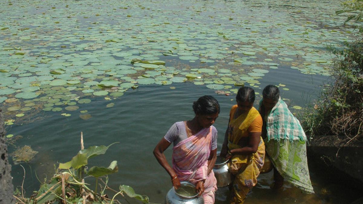 Ponds and prosperity - The Hindu