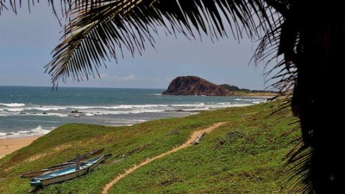 Centre keenly examining captive jetty for NTPC power plant - The Hindu