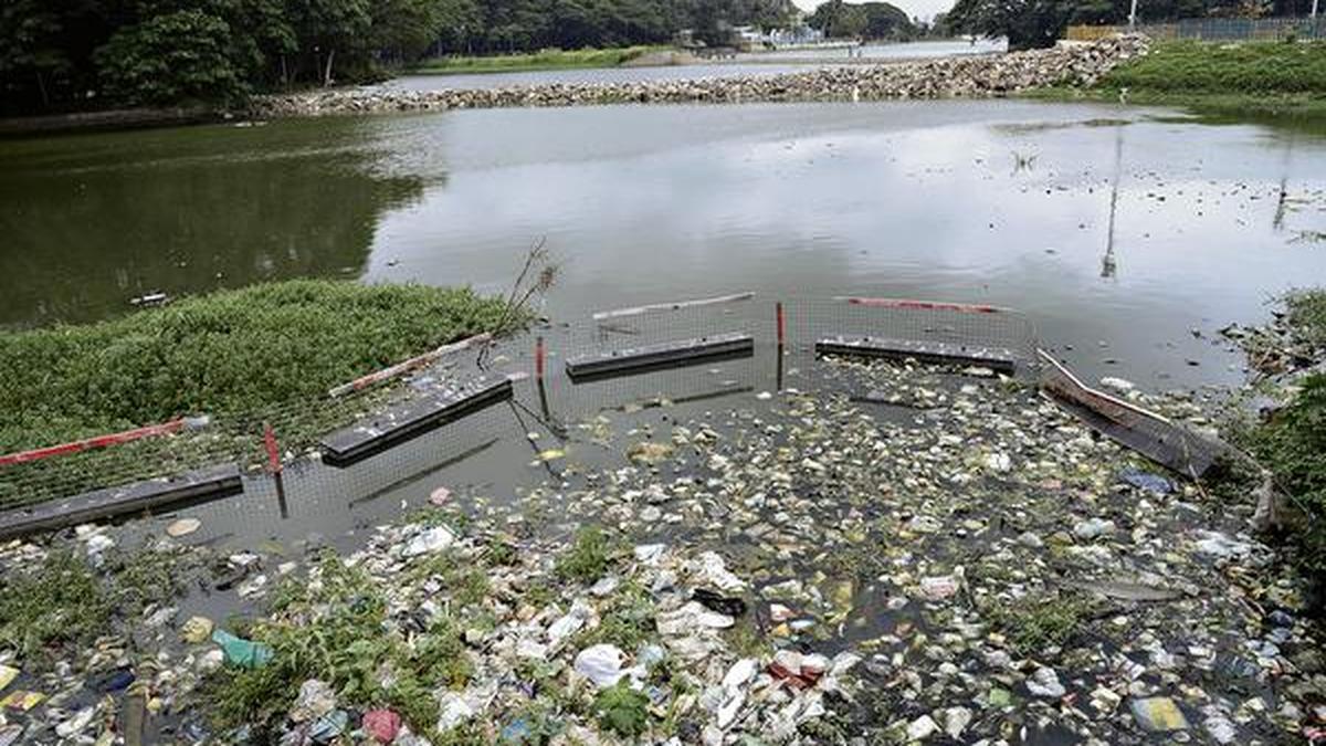 Where lakes are filled with sewage and not rainwater - The Hindu