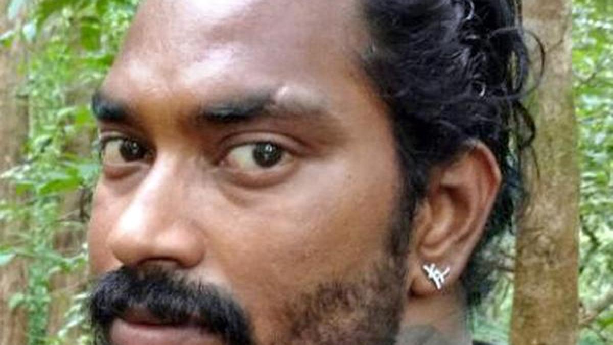 Snake-catcher bitten by snake, hospitalised - The Hindu