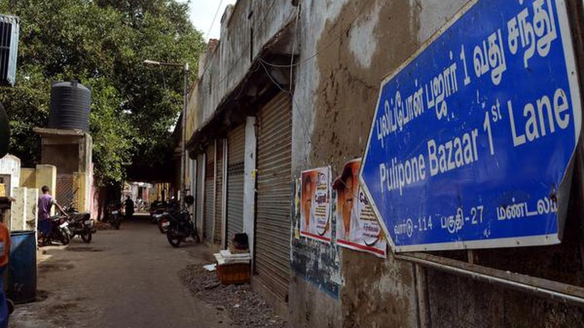 The tiger of Triplicane - The Hindu