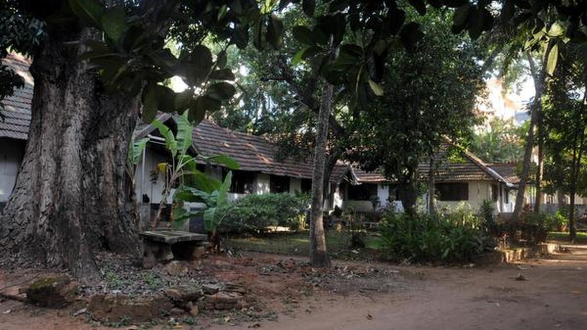 The house under the trees - The Hindu