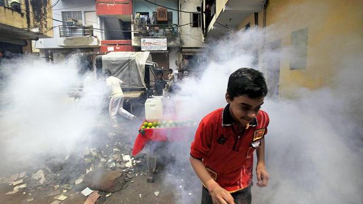 Does fogging harm humans? - The Hindu