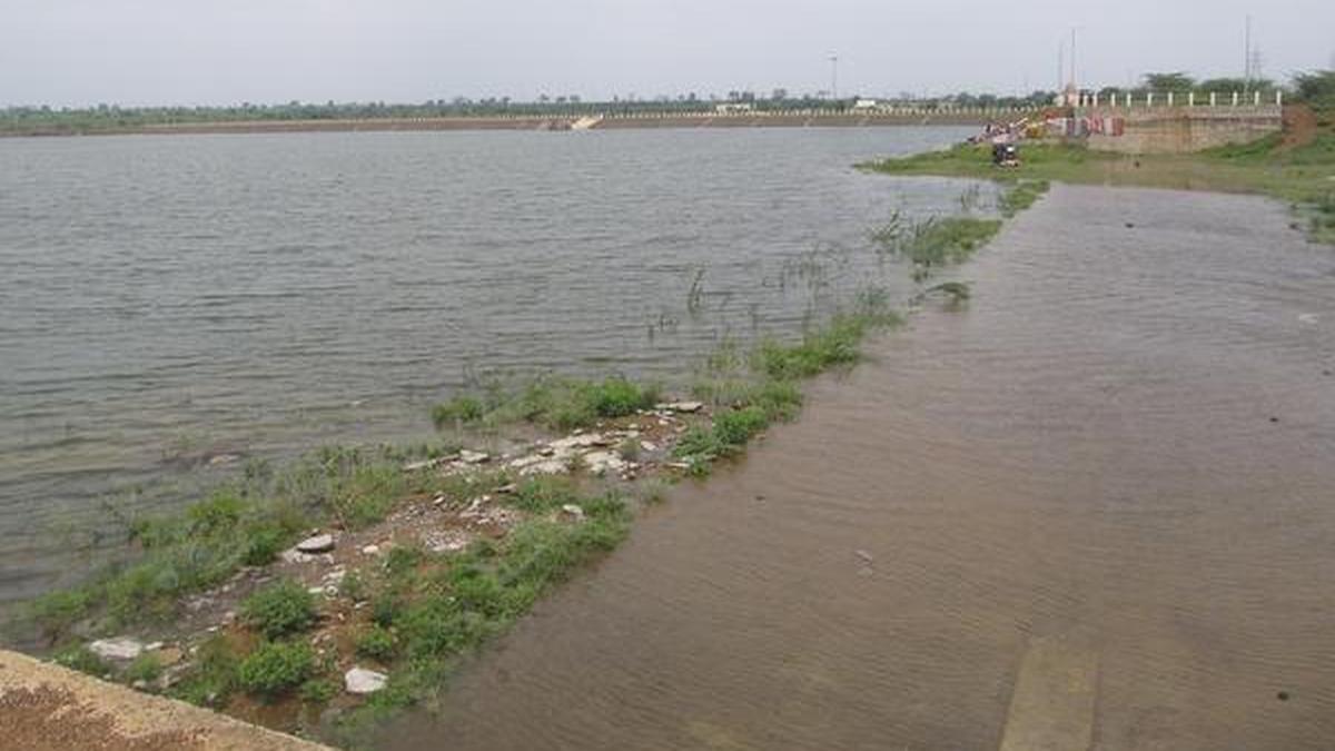 After 50 years, Begum Talab brims with life - The Hindu