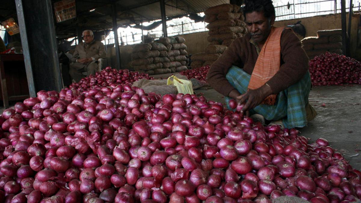 Onion traders in Nashik call off strike - The Hindu