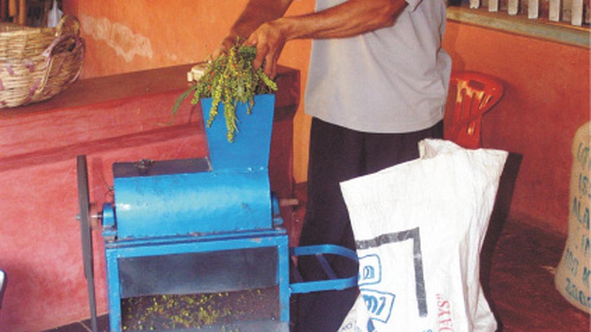 Pepper thresher, an ideal substitute for manual labour - The Hindu