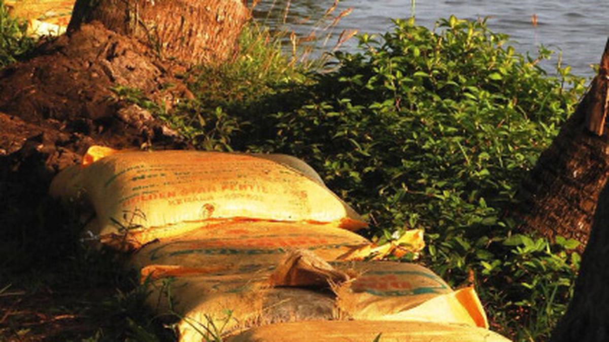 Kuttanad farmers shun free fertilizer - The Hindu