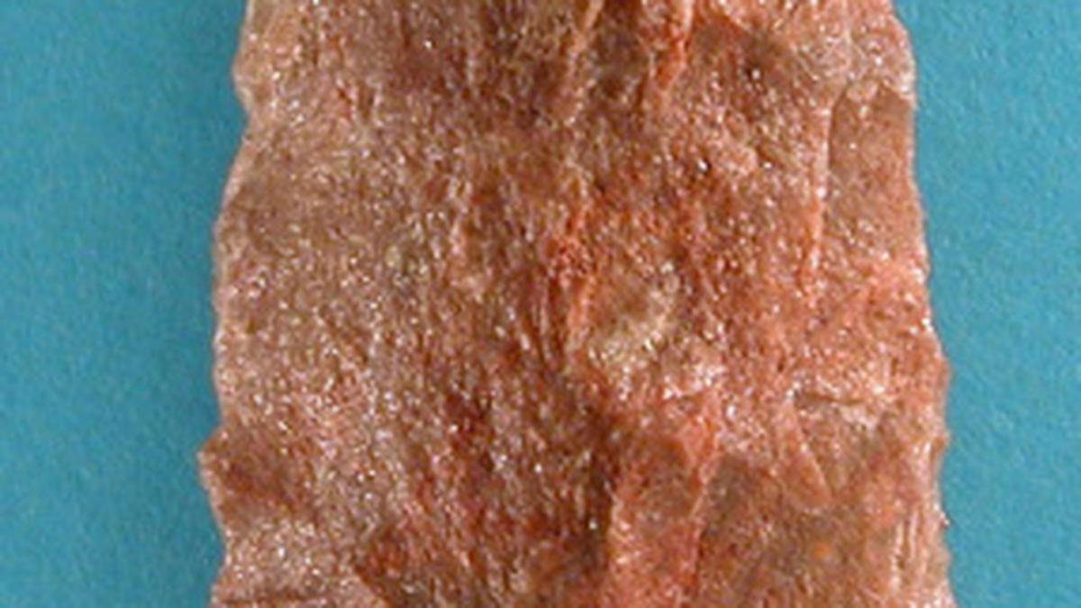 ‘Early humans crafted sharp weapons some 75,000 years ago’ - The Hindu