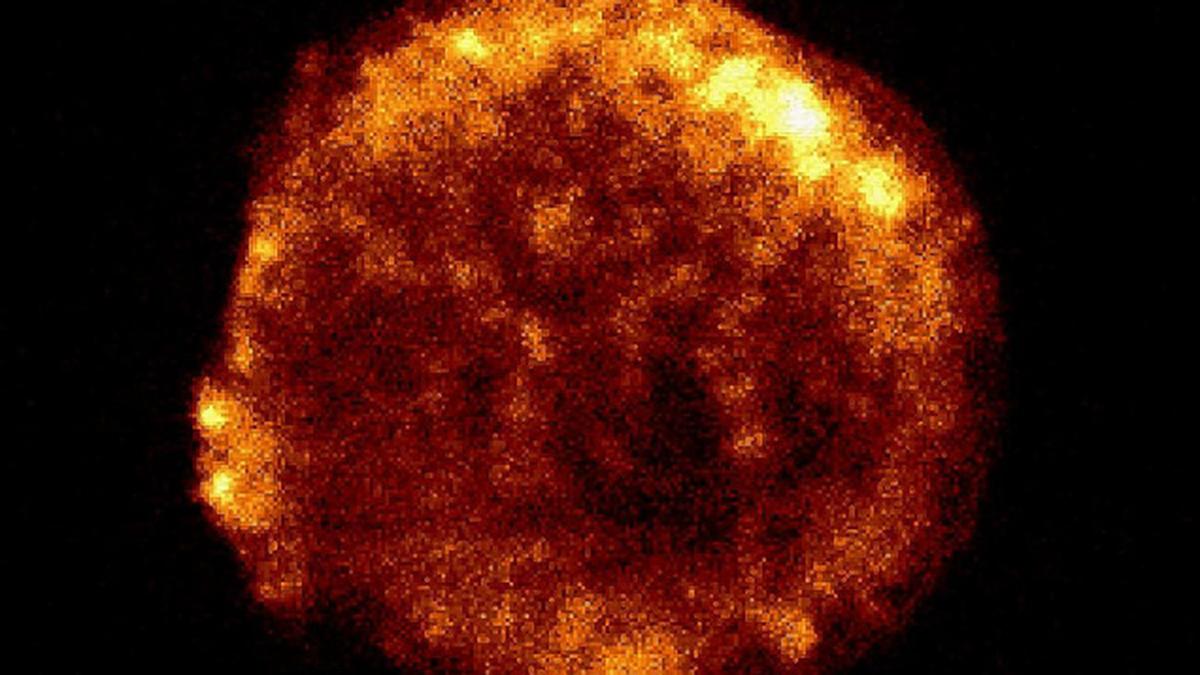 Native Aussies observed "supernova-impostor" event in 1800s - The Hindu