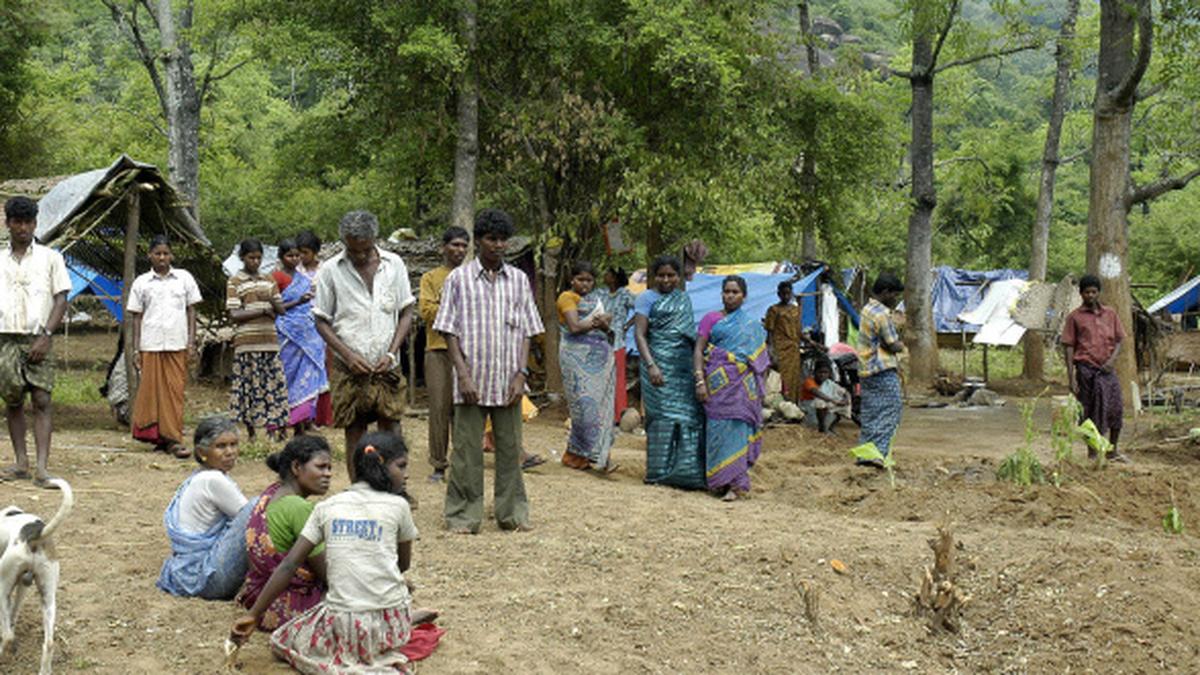 28 Paliyar tribal families intensify fight for land titles - The Hindu