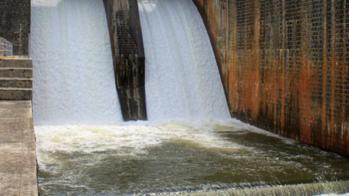 Water level rising in dams - The Hindu