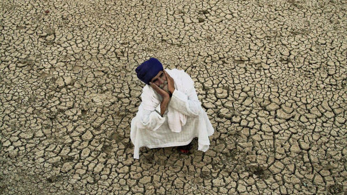 India losing 5,334 million tonnes of soil annually due to erosion: Govt ...