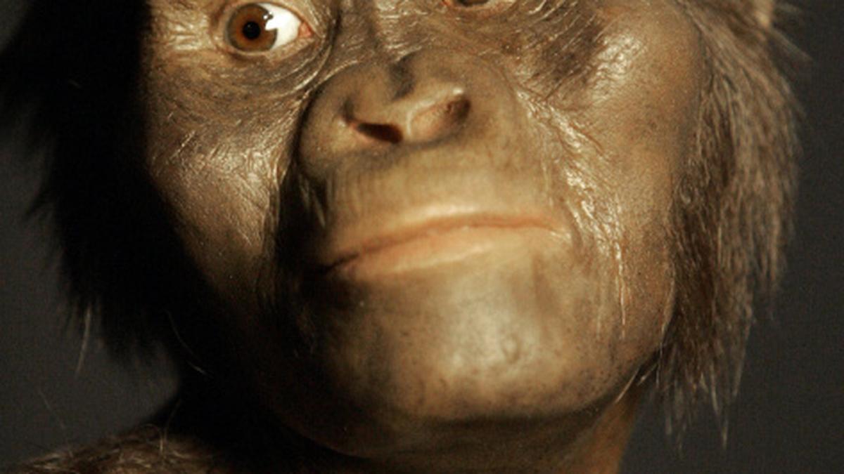 ‘Prehistoric humans had feelings of compassion’ - The Hindu