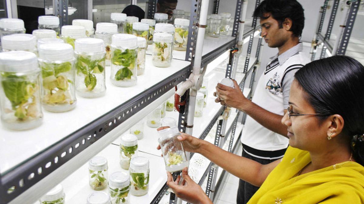 Honour for TNAU's biotech work - The Hindu