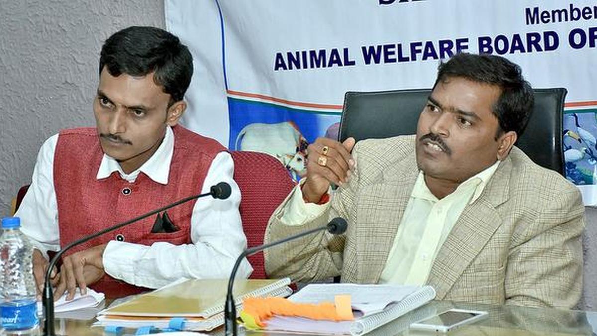 Second phase of rabies control programme soon - The Hindu