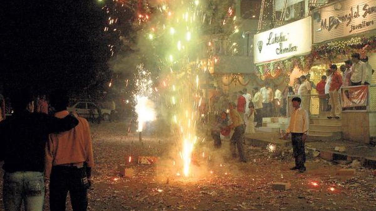 Animals' constant battle against firecracker enthusiasts - The Hindu