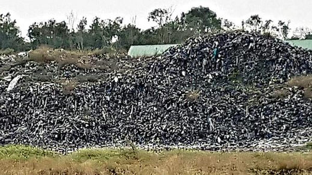 Mandur landfill: From a garbage dump to a golf course? - The Hindu