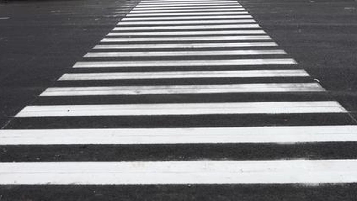 The zebra in our crossings - The Hindu