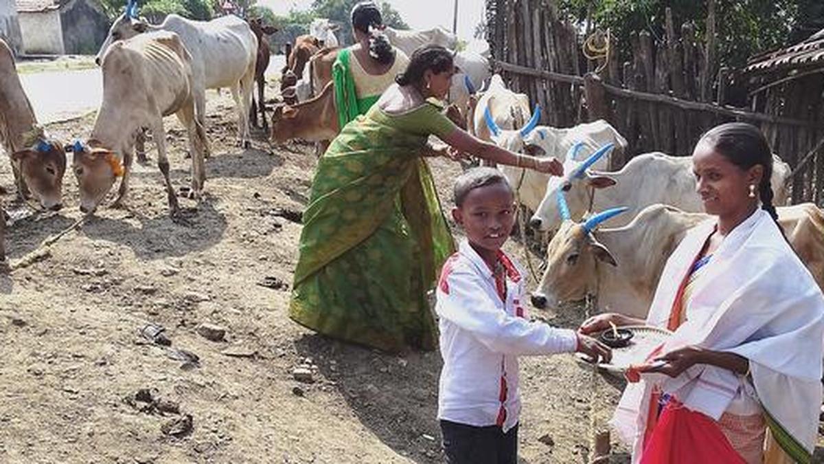 Dwindling ‘wealth’ of Adivasis - The Hindu