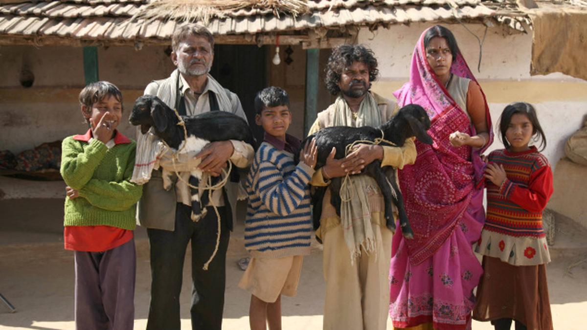 Peepli live: Breaking News – Here's a winner - The Hindu