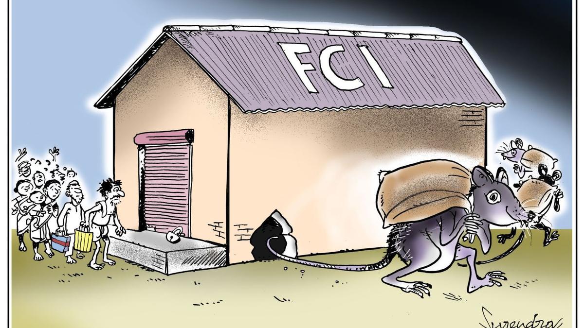 Food security — by definition - The Hindu