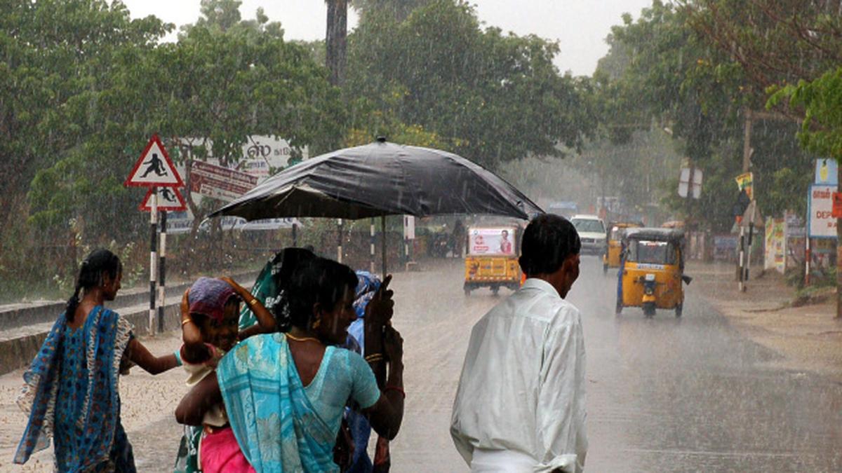 Rain lashes Ramanathapuram and Sivaganga districts - The Hindu
