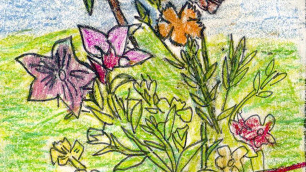 Drawings from Tiruchi - The Hindu