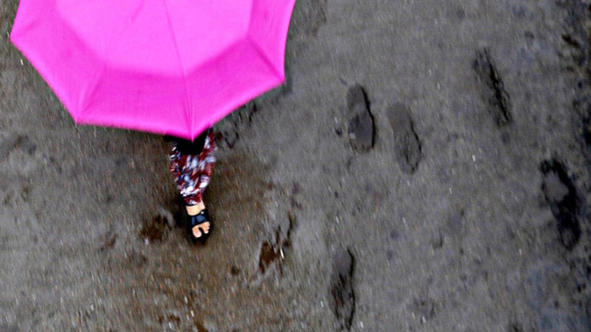 Day in pictures — July 30, 2010 - The Hindu