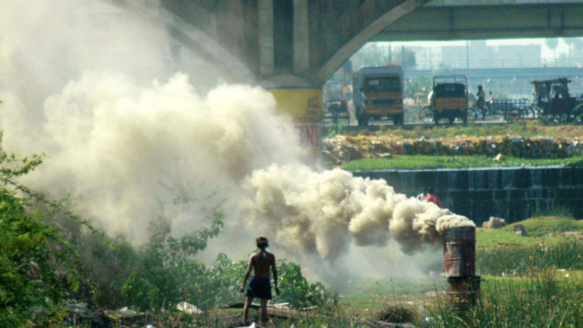 Nature in distress - The Hindu