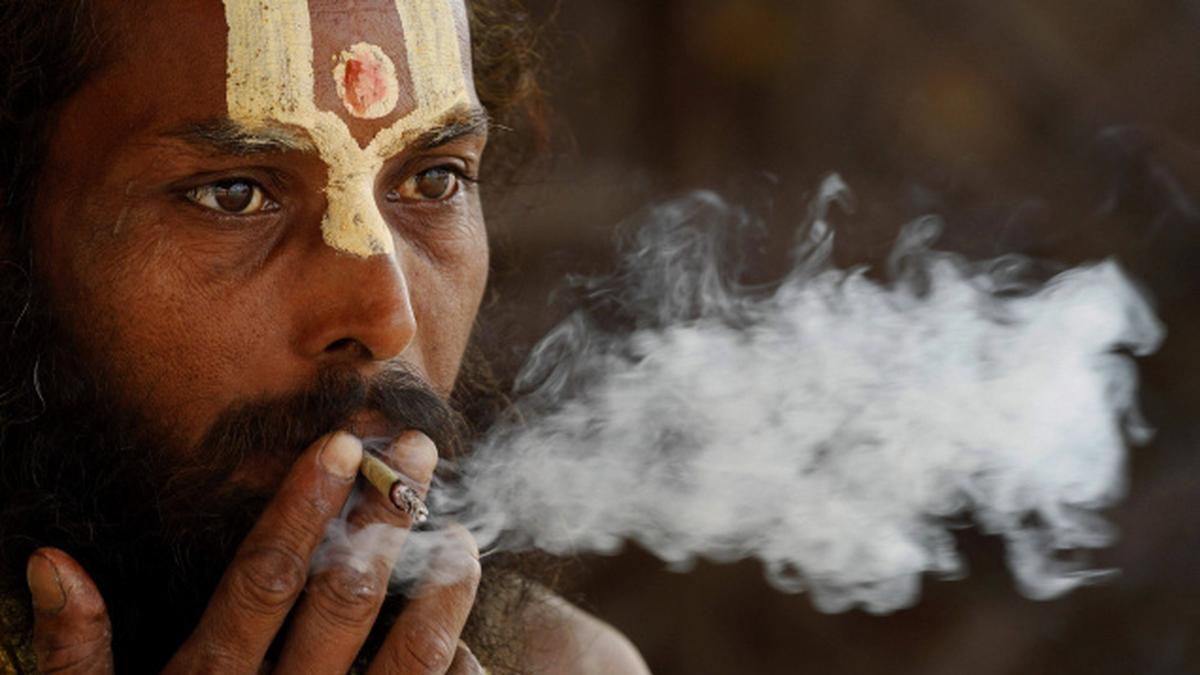 Nicotine level higher in bidi smokers: study - The Hindu