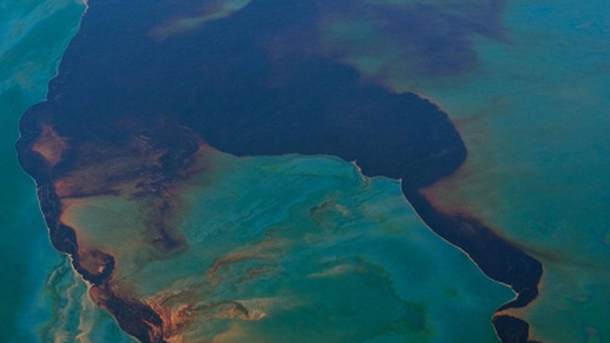 BP starts burning oil from ruptured well - The Hindu