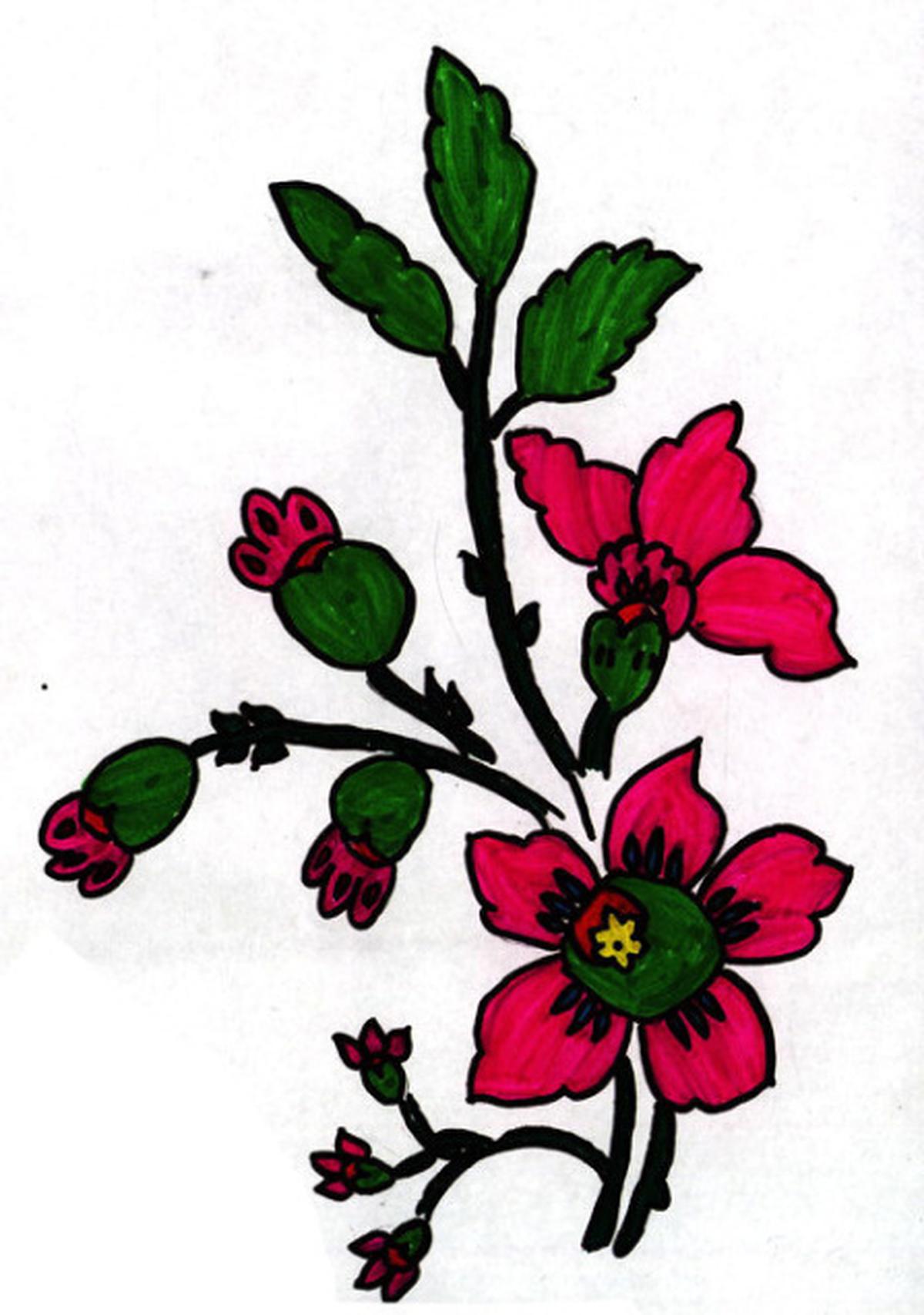 Tiruchi drawings - The Hindu