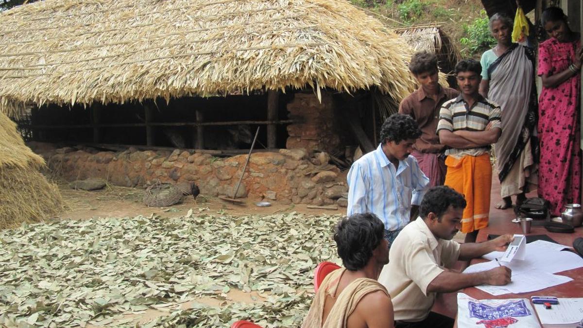 Will counting caste help to reduce inequality? - The Hindu