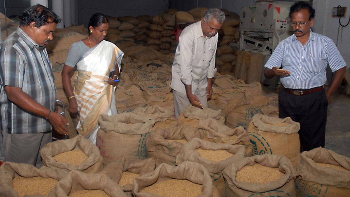 Preparations underway for kuruvai season - The Hindu