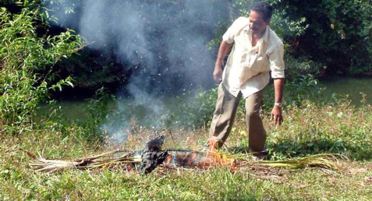 79 gelignite sticks, capable of causing huge blast, recovered - The Hindu