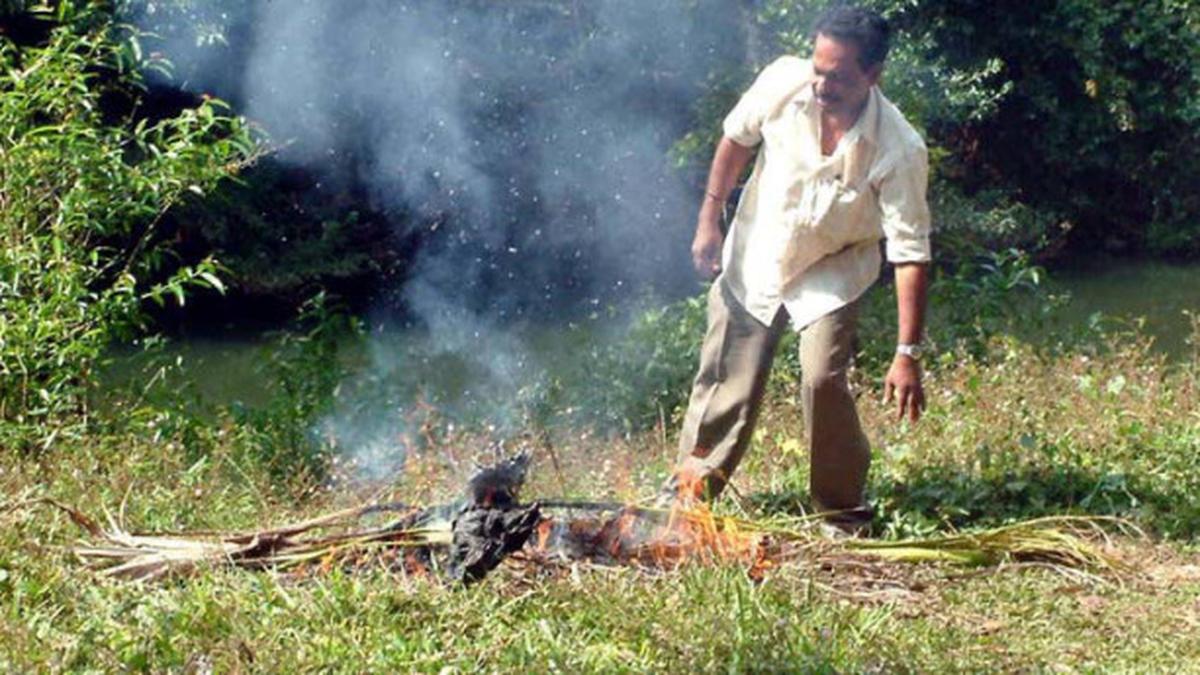 79 gelignite sticks, capable of causing huge blast, recovered - The Hindu