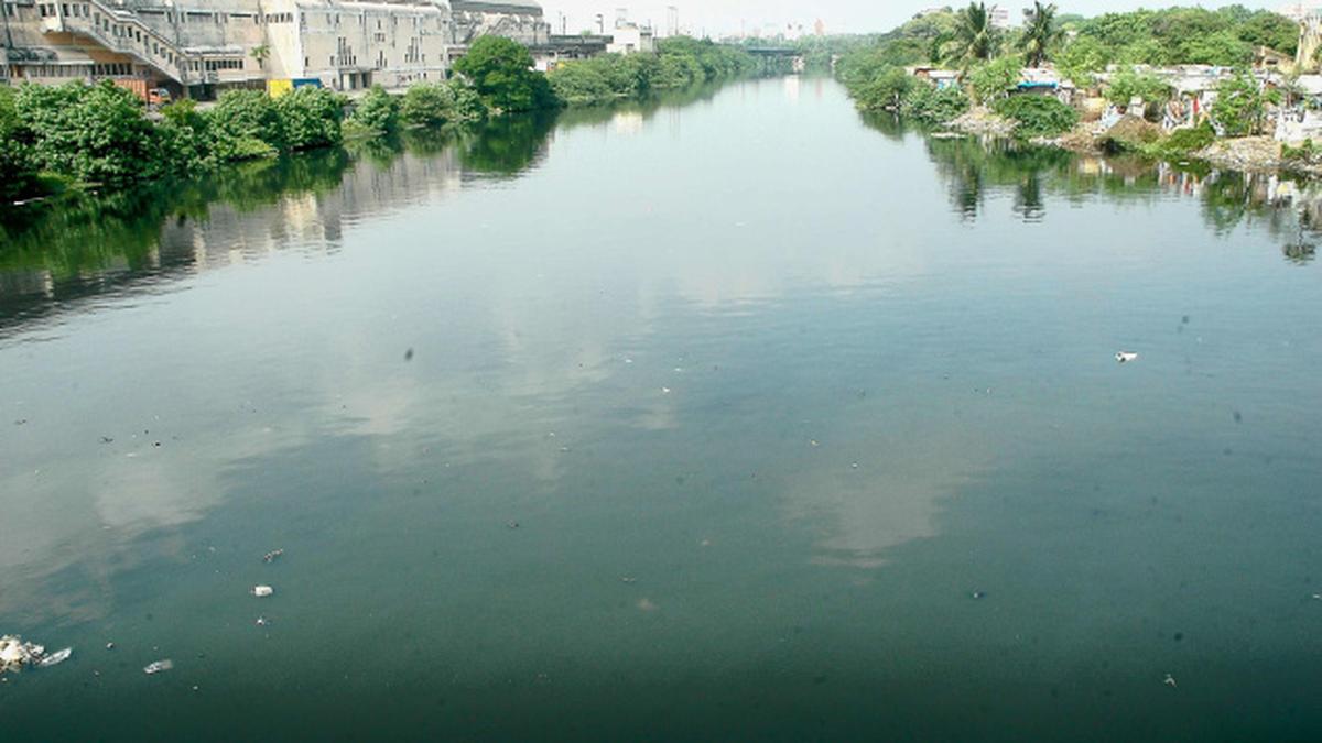 Plan afoot to clean the highly polluted Cooum river - The Hindu