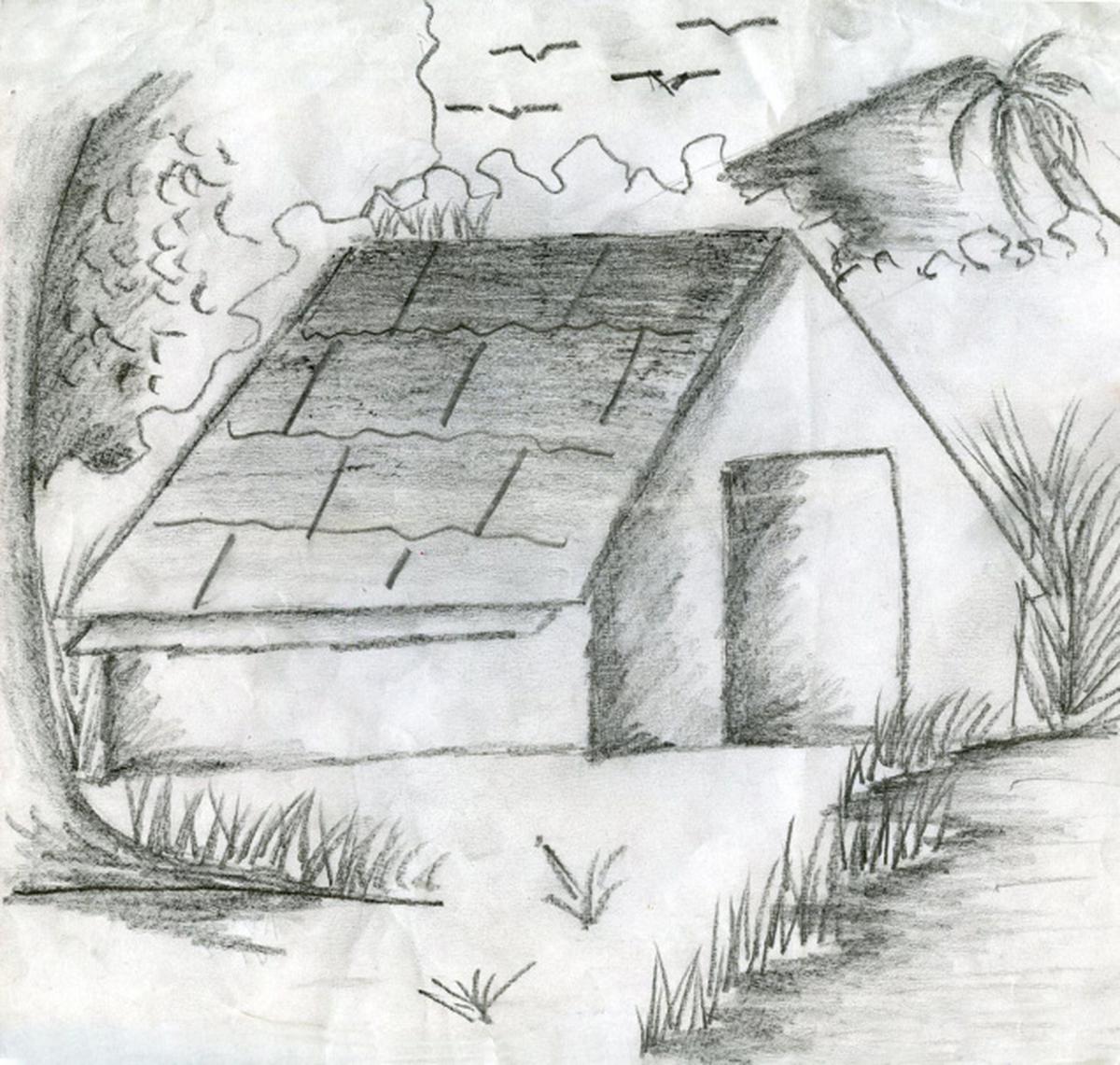 Palakkad drawings - The Hindu