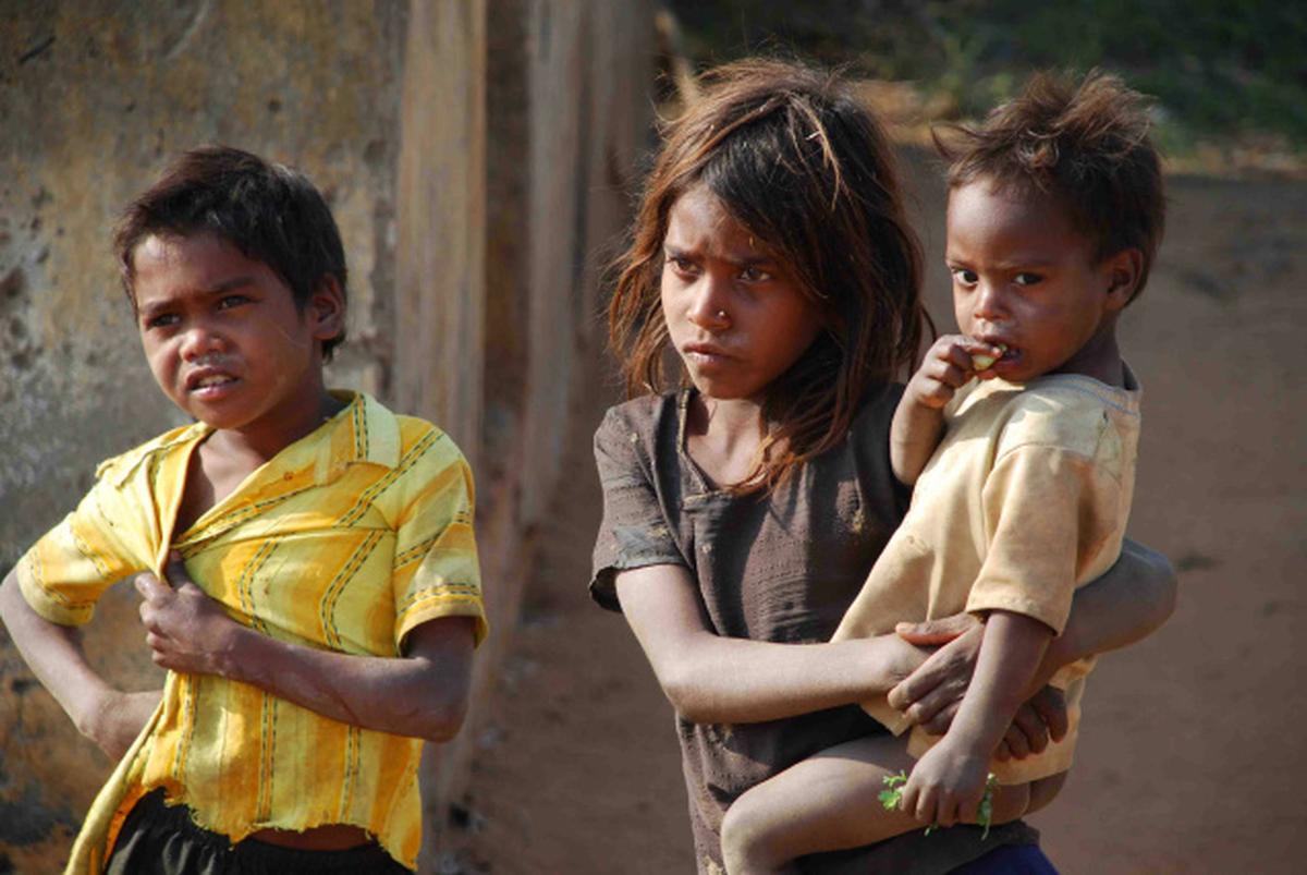 Primitive tribes in Jharkhand most backward - The Hindu