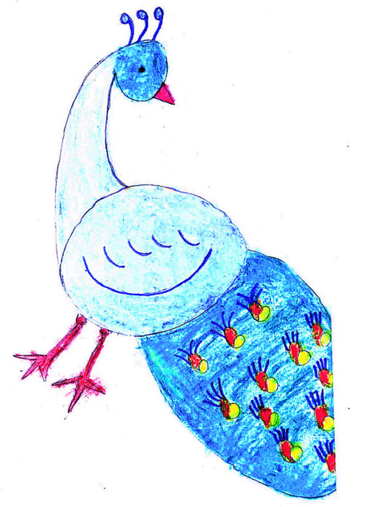 Palakkad drawings - The Hindu