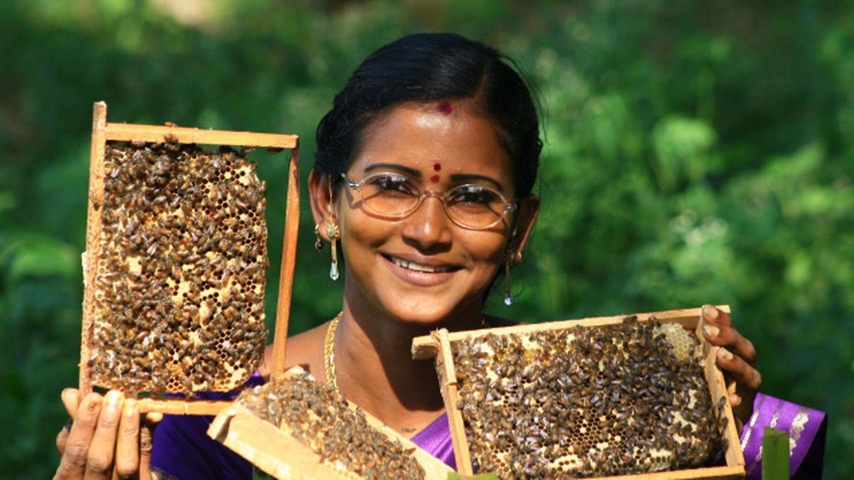 A sweetened sweat story - The Hindu